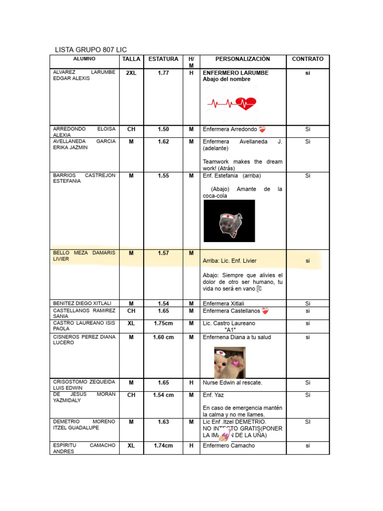 807 Playeras Toga Piñatas | PDF