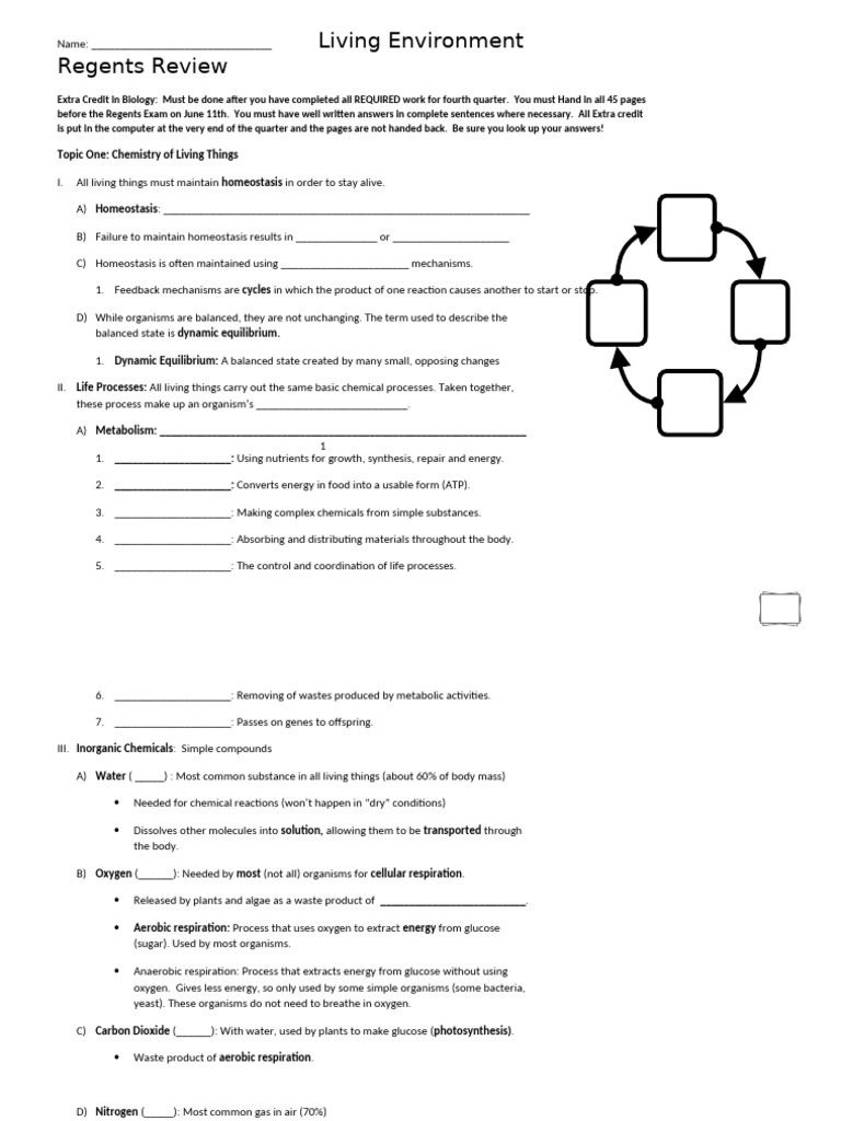Living Environment Regents Review Guide | PDF | Cellular Respiration ...