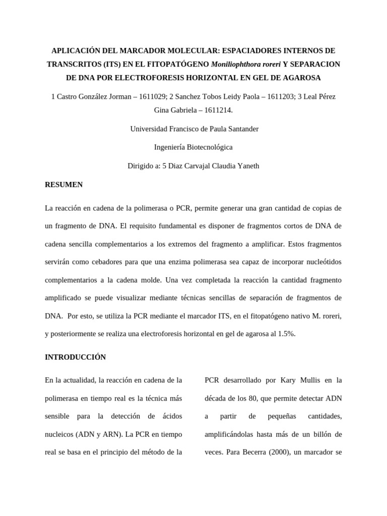 Informe de Biologia Molecular PCR y Electroforesis | PDF | Reacción en cadena de la polimerasa ...