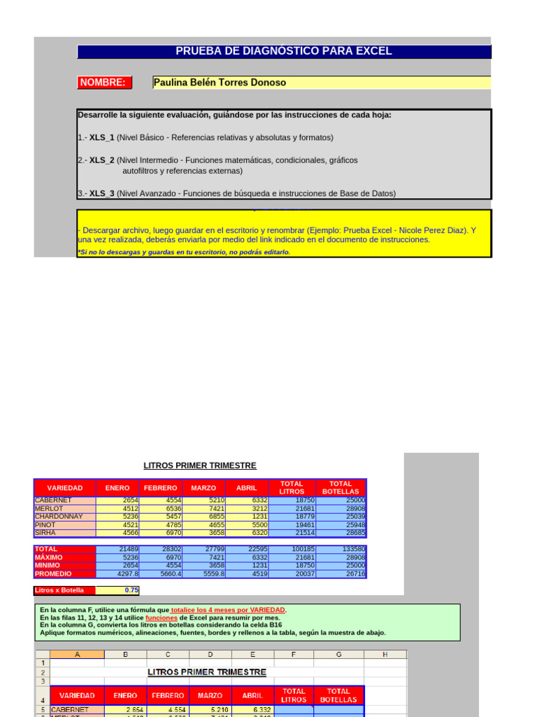 Prueba Excel - Paulina Torres Donoso | PDF | Microsoft Excel | Hoja de cálculo