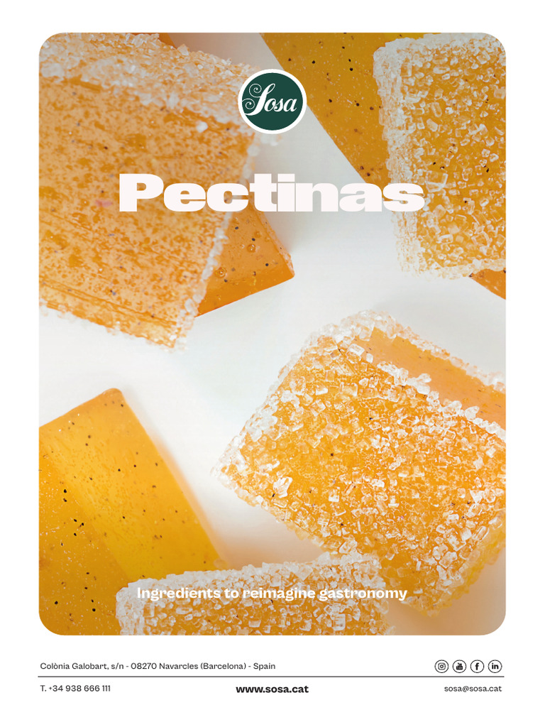 Dossier Pectinas | PDF | Crema | Hirviendo