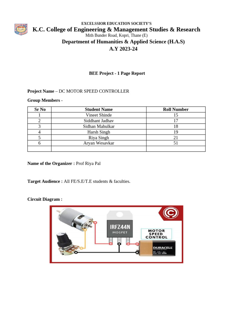 BEE Project Report | PDF