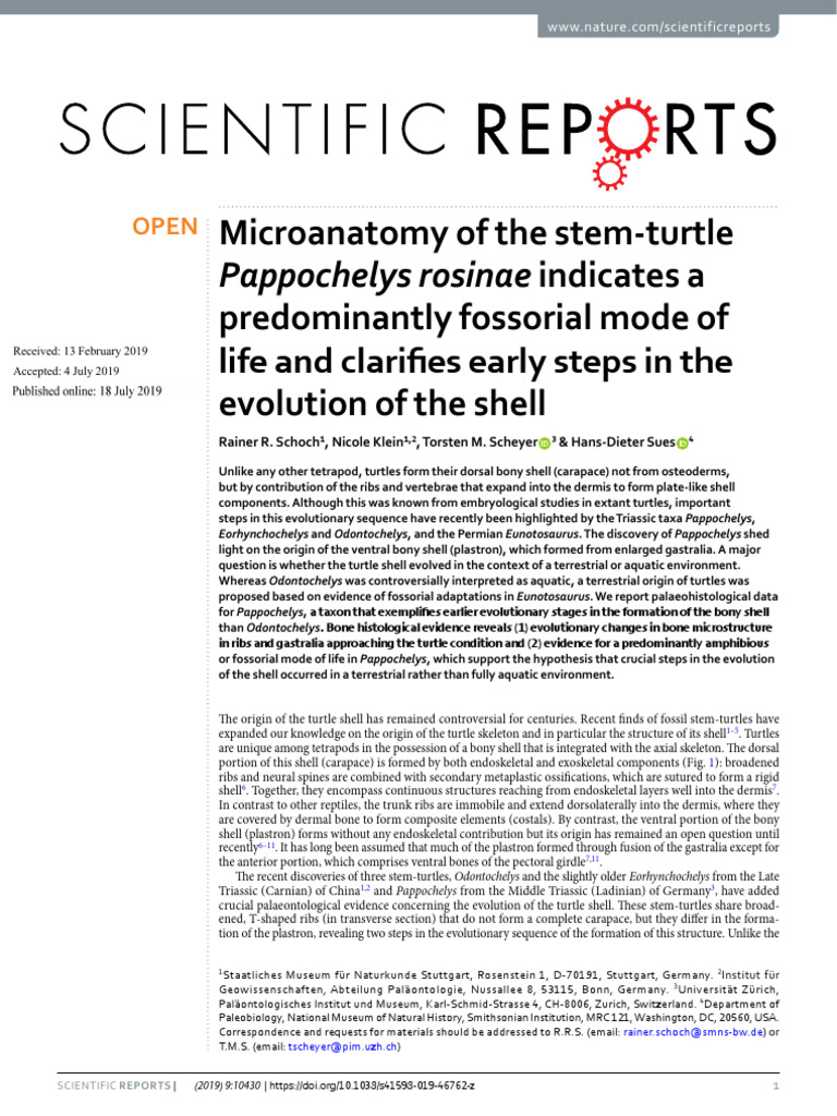 Microanatomy of The Stem-Turtle Pappochelys Rosinae | PDF | Reptile