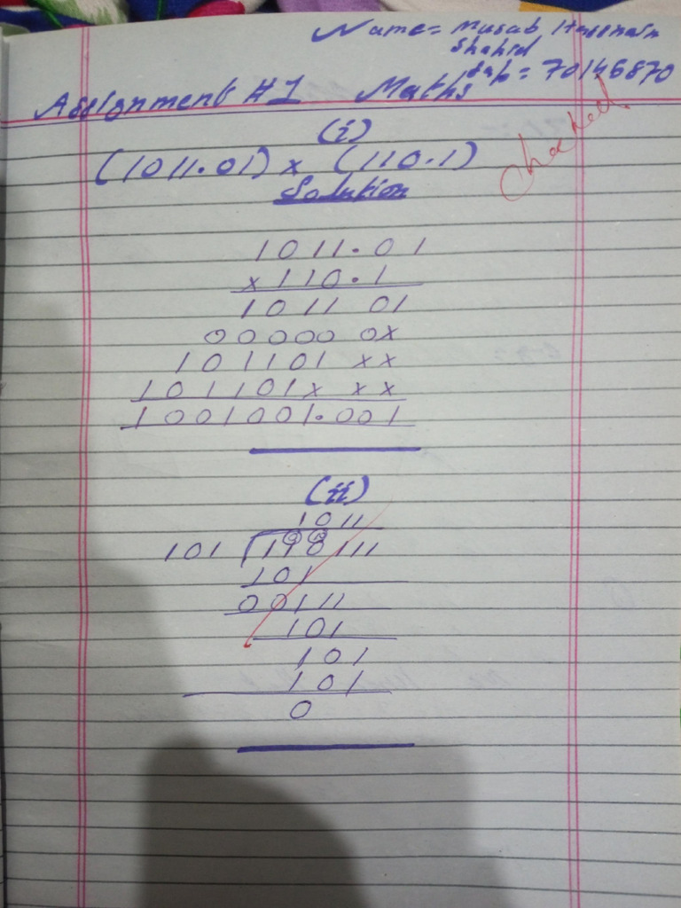 Maths Assignment Pdf