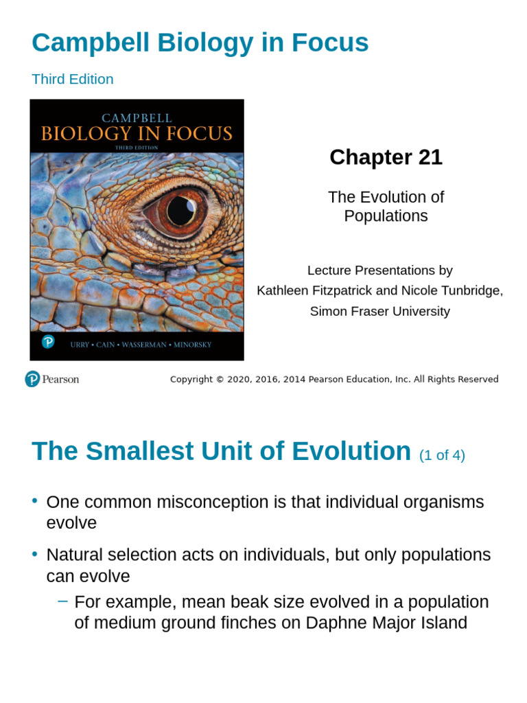 21 Lecture Ppts Non-Accessible | PDF | Mutation | Genetic Variation