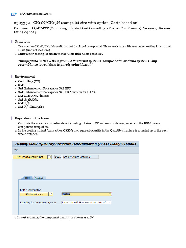 CK11N CK13N Change Lot Size With Option Costs Based On | PDF