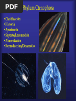 Ctenóforos | PDF | Anatomía | Zoología