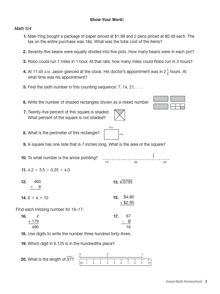 Saxon Math 5:4-8:7 Assessment | PDF