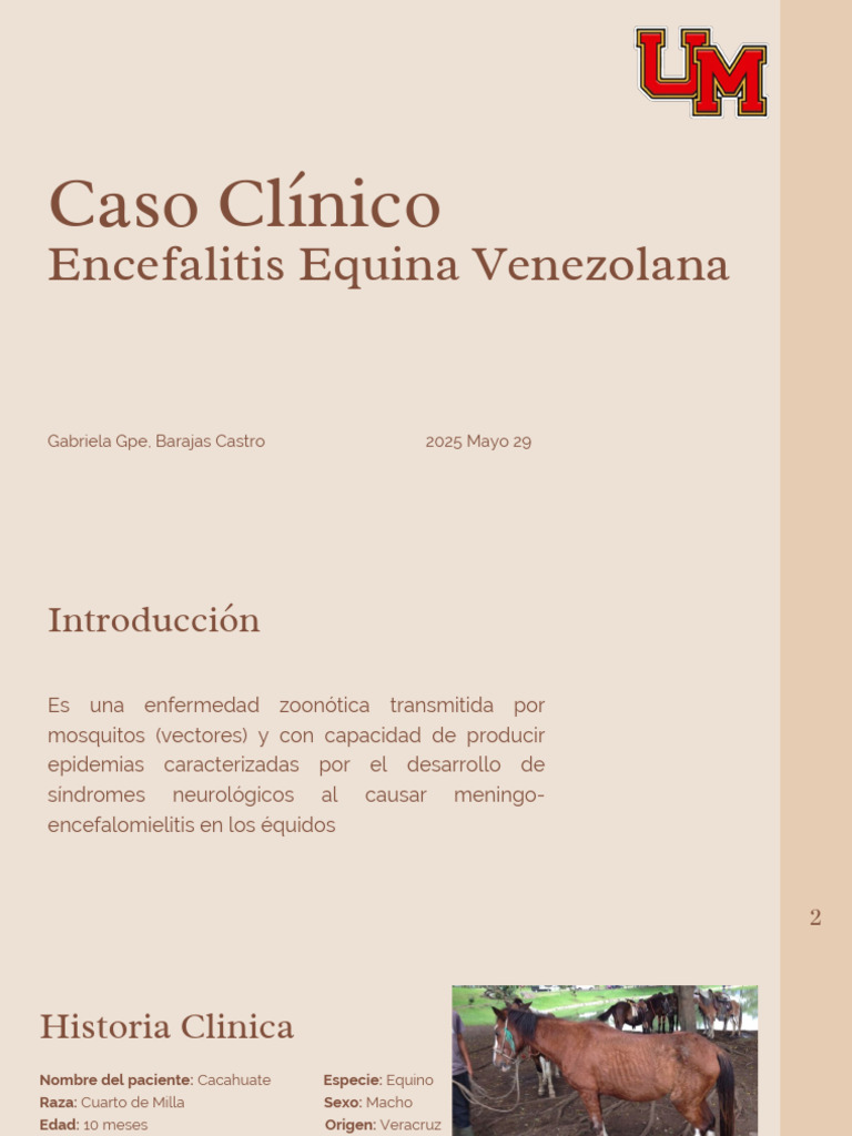 Encefalitis Equina Venezolana en Equinos | PDF | Vacunas | Virus