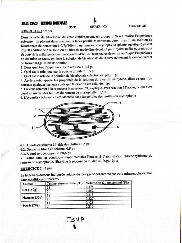 SVT C4 Bac1 2023 | PDF