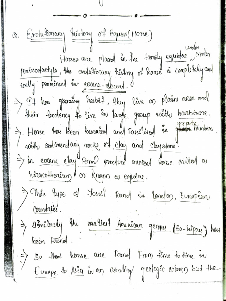 Evolutionary History of Horse(Equus) | PDF | Equus (Genus)