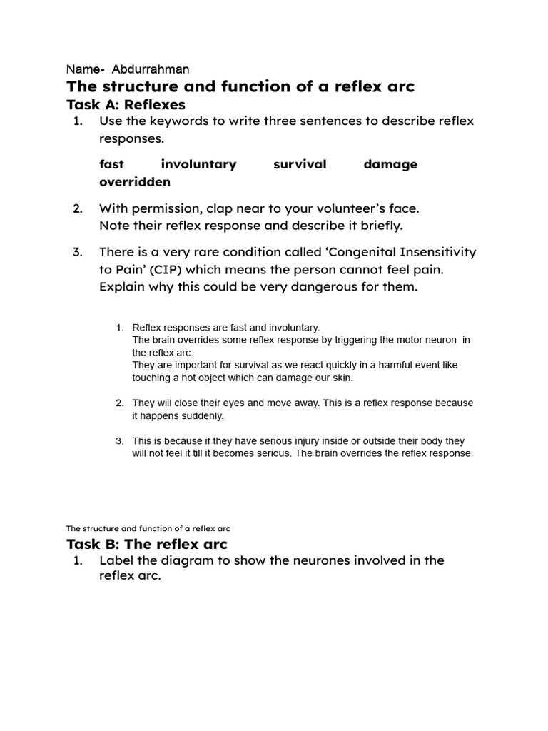 Reflex Arc Worksheet | PDF