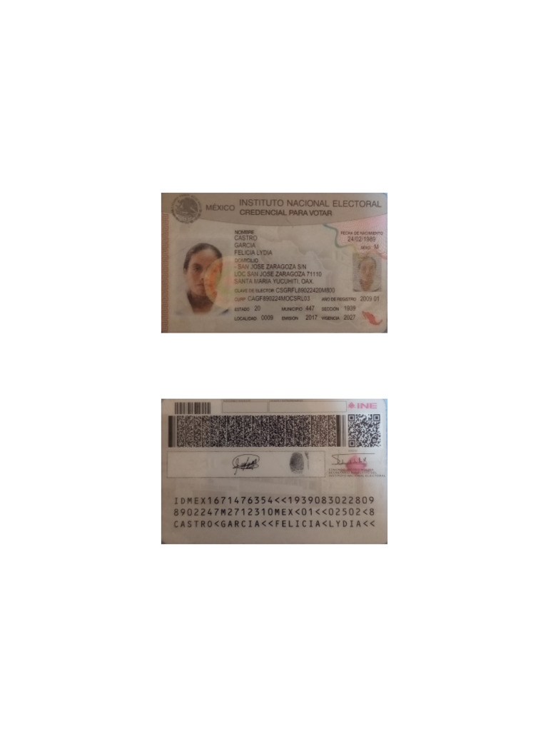 Felicia Lidia Castro Garcia Ine | PDF