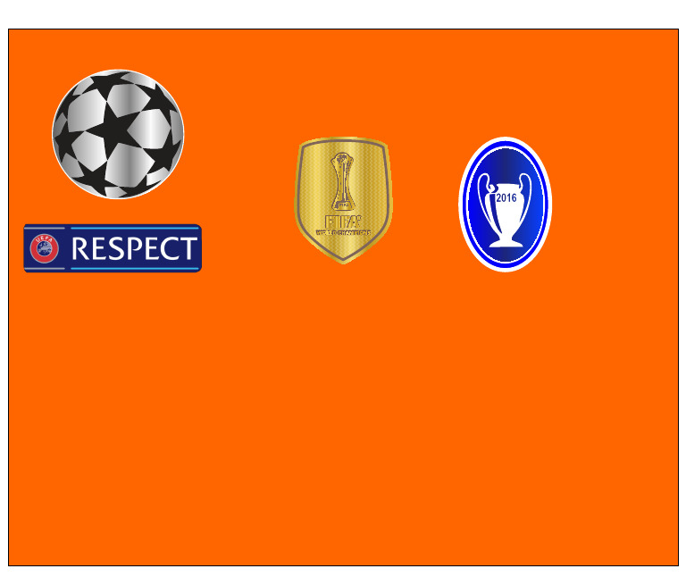 PATCH respect champions | PDF