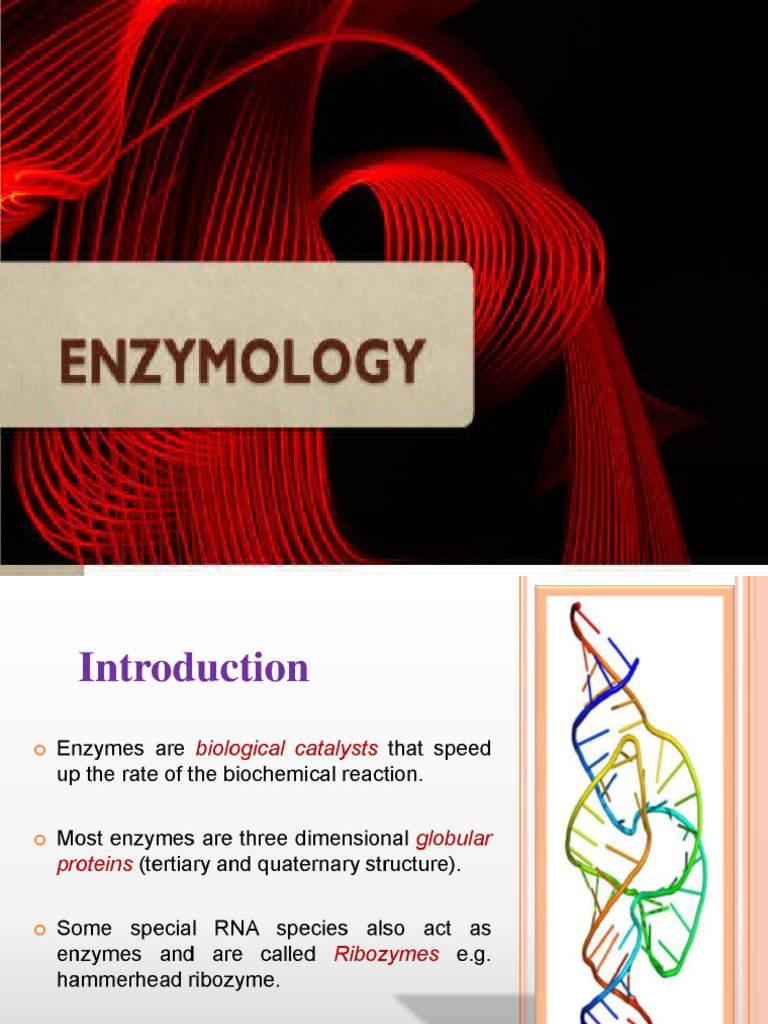 Biochemistry Lecture 4 ENZYMOLOGY | PDF | Cofactor (Biochemistry) | Enzyme