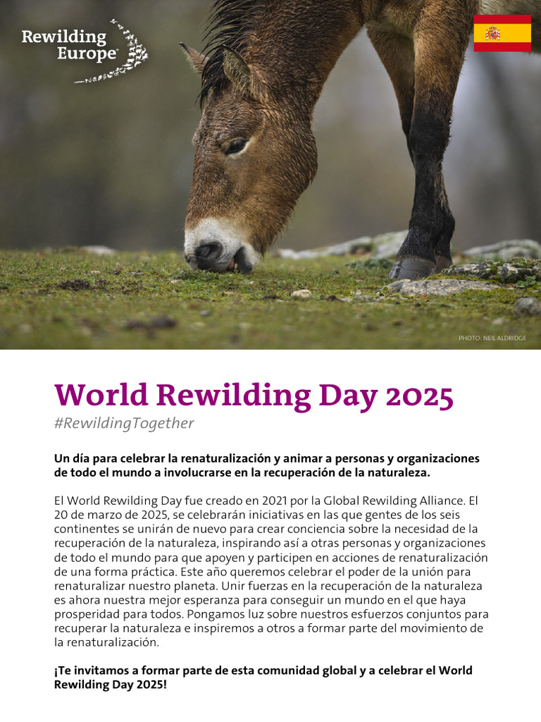SPANISH VERSION - World Rewilding Day 2025 | PDF | Naturaleza ...