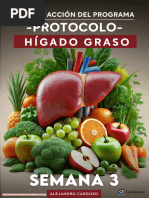 HEPAGRAS | PDF | Hígado | Bilis