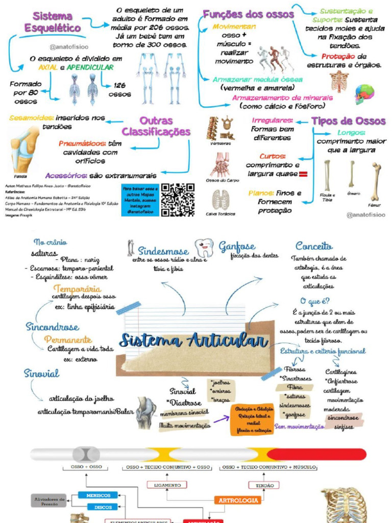 Mapas Mentais - Anatomia | PDF
