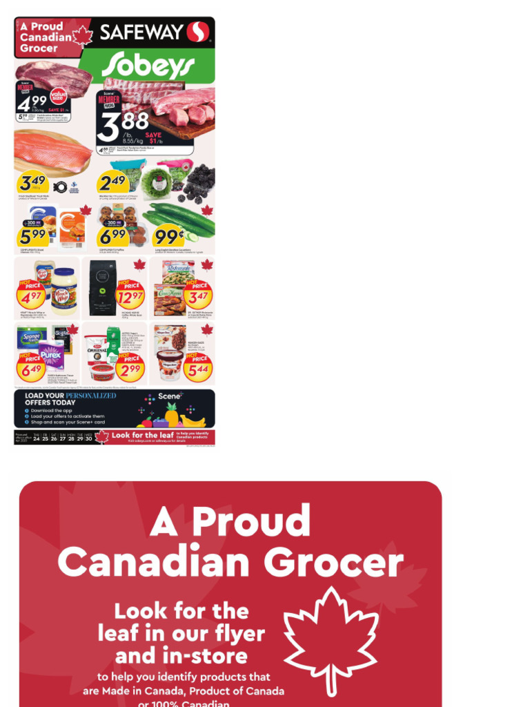 Flyer | PDF