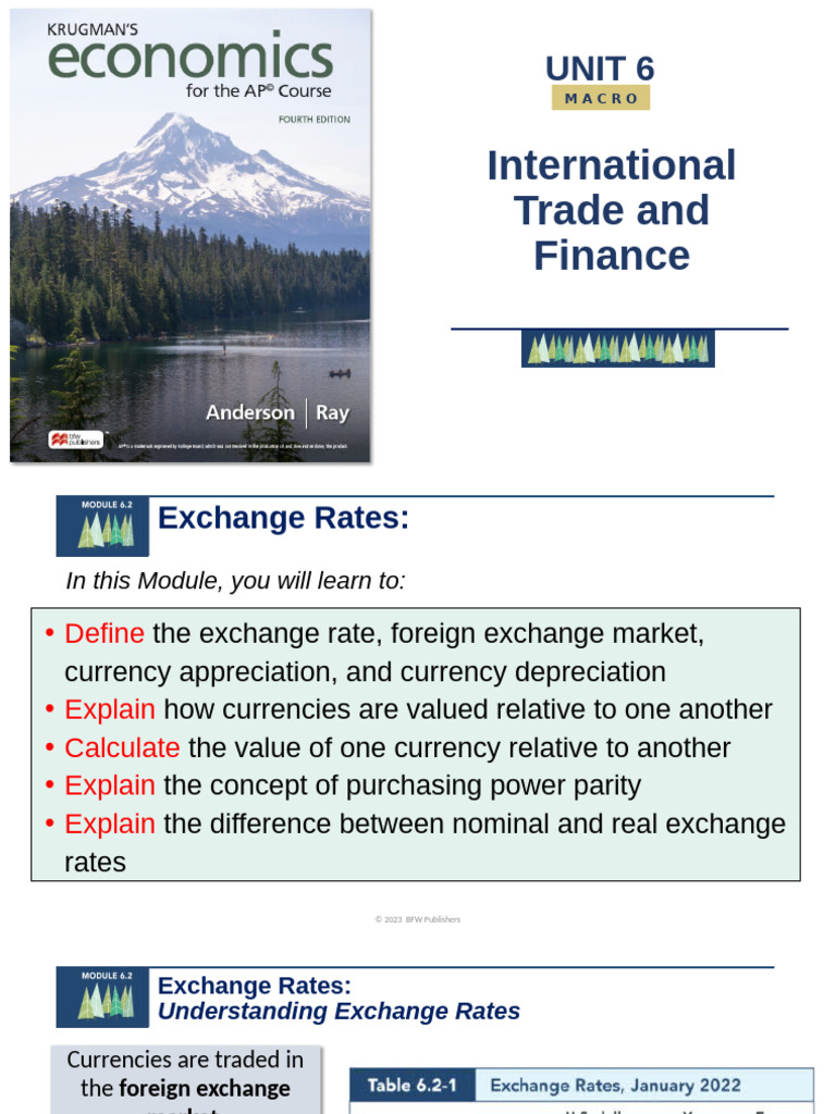 Macro Unit 6 Module 6.2 | PDF | Exchange Rate | Purchasing Power Parity