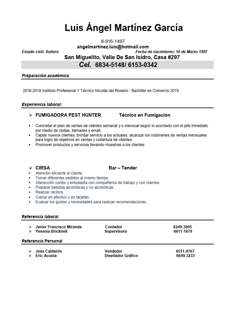 CURRICULUM LUIS MARTINEZ | PDF