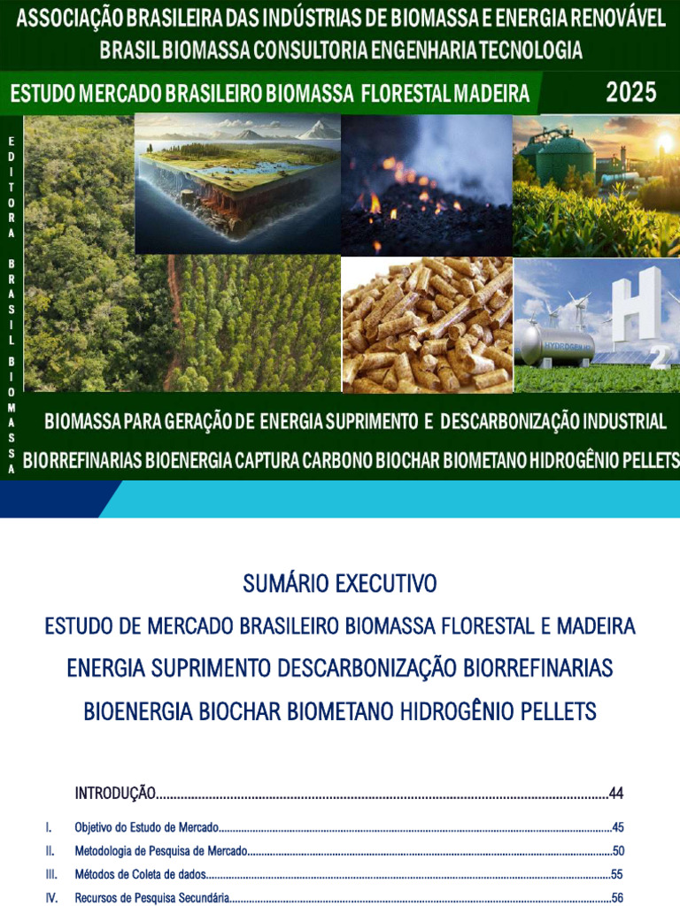Estudo de Mercado: Biomassa e Madeira Brasil | PDF | Biomassa ...