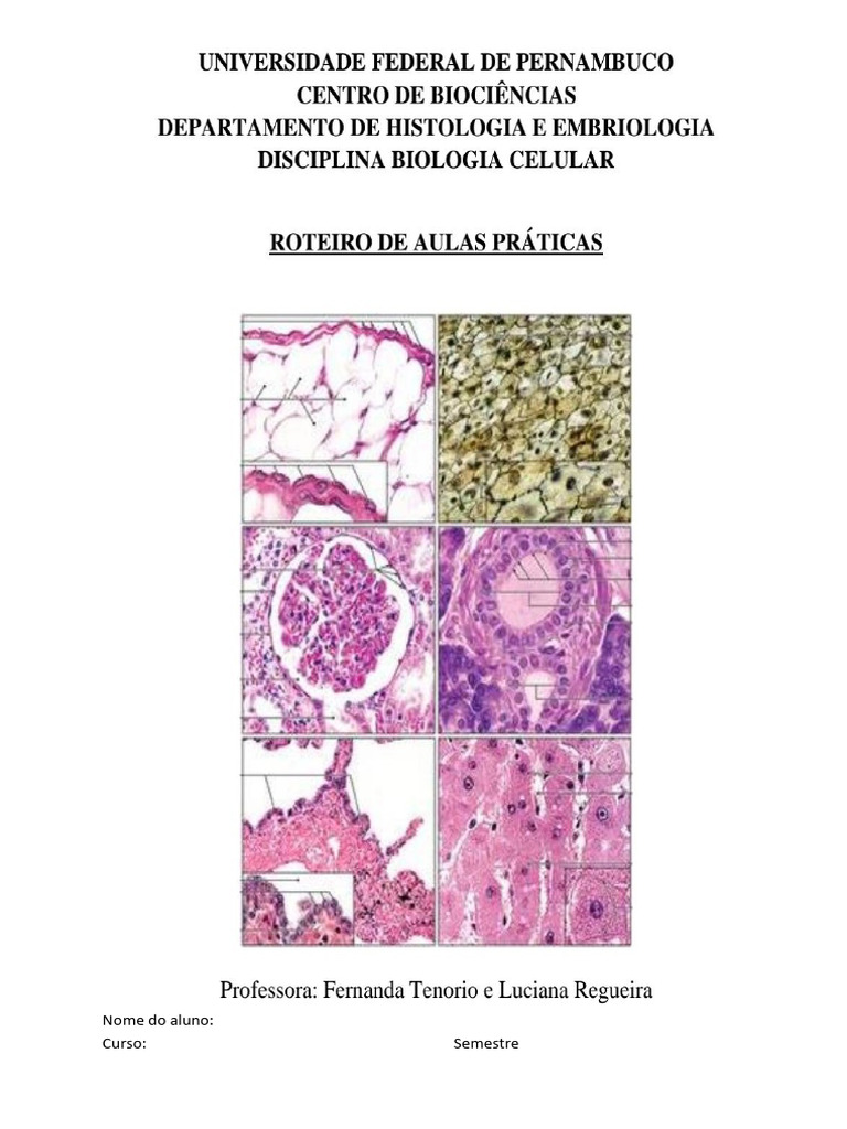 Manual de Pr-Ticas Biocel | PDF | Retículo endoplasmático | Citoplasma