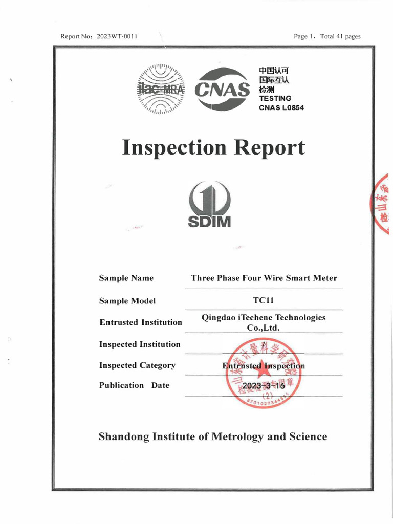 Inspection Report-TC11-230316 (1) （无加密槽） | PDF | Electronics ...