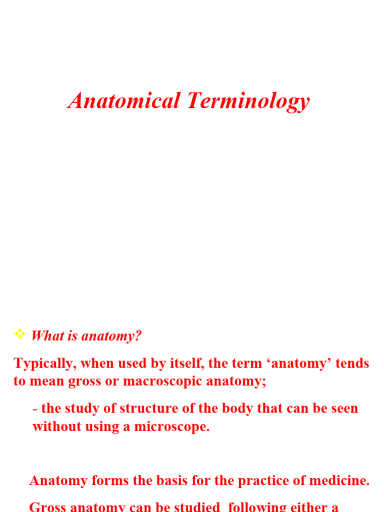 Anatomical Terminology | PDF | Anatomical Terms Of Motion | Anatomical ...