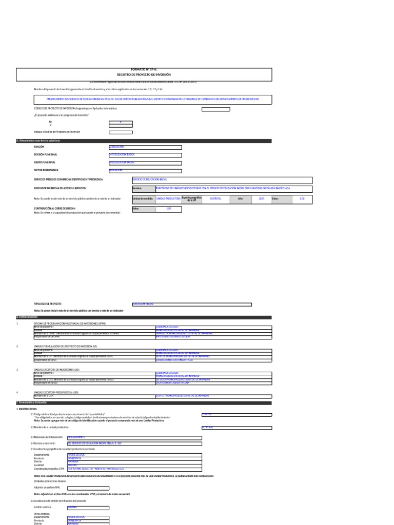 Formato 7a | PDF | Oferta (economía) | Educación de la primera infancia