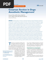 CSU Canine Acute Pain Scale Guide | PDF | Pain | Diseases And Disorders