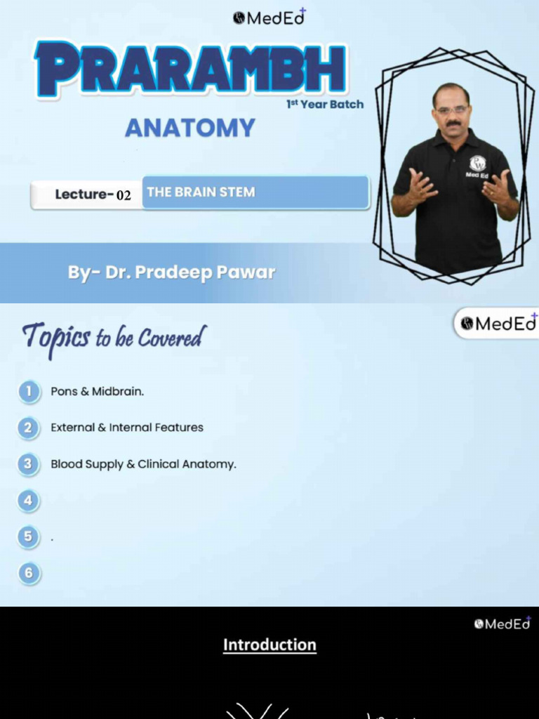 The Brain Stem 02 - Class Notes PDF | PDF