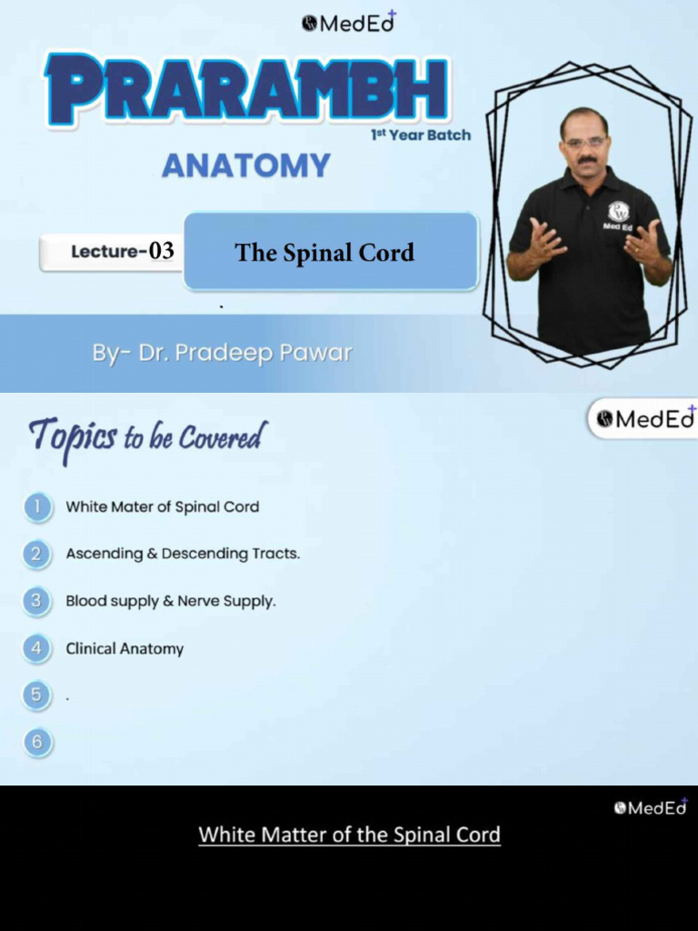 The Spinal Cord 03 - Class Notes PDF | PDF