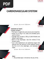 Circulatory System of Frog | PDF | Heart | Atrium (Heart)