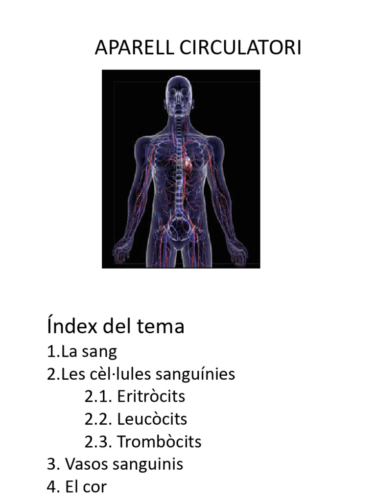 tema_3_circulatori_fonsblanc | PDF