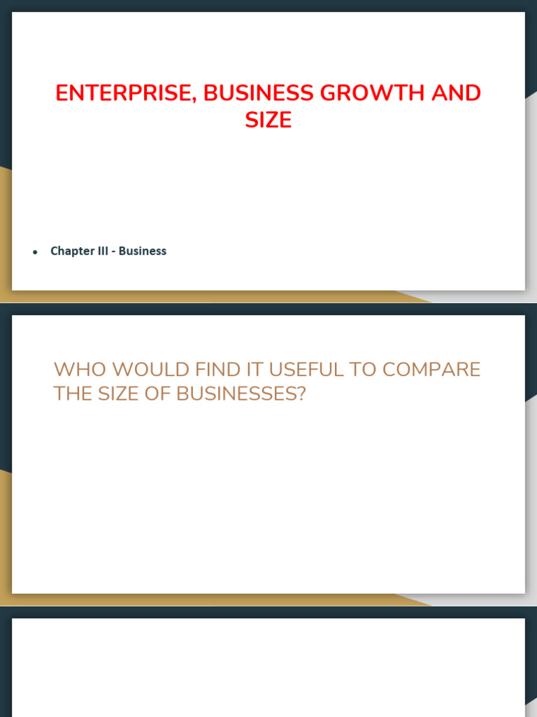 CH 3, 4, 5 ENTERPRISE, BUSINESS GROWTH AND SIZE | PDF | Franchising ...