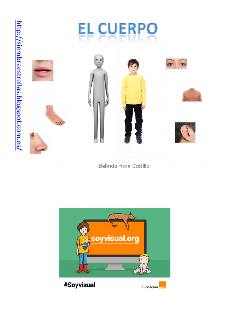 Tarjetas. El Cuerpo | PDF