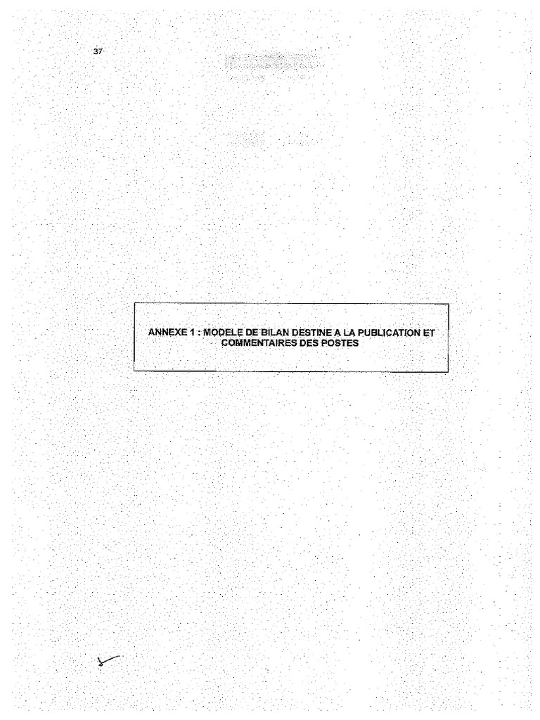 Plan comptable bancaire révisé 1 | PDF