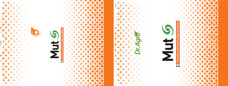 t42 Delantero y Espalda Mut | PDF