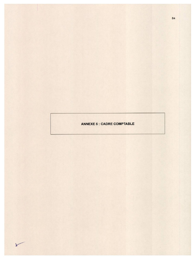 Plan Comptable Bancaire Révisé 2 | PDF