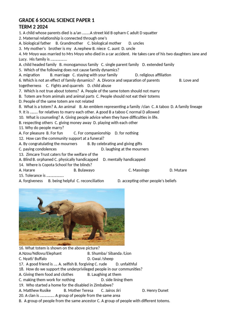 GRADE 6 P1 Social Science | PDF | Zimbabwe | Family