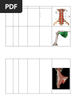 Goniometry of Cervical Spine | PDF