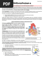 Inervación Del Corazón | PDF | Corazón | Neuroanatomía