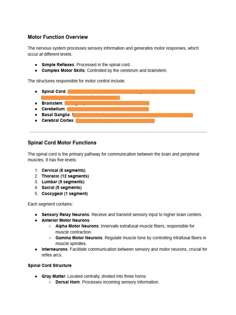 09 - 06 Motor Function PPT Summary | PDF | Motor Neuron | Cerebellum