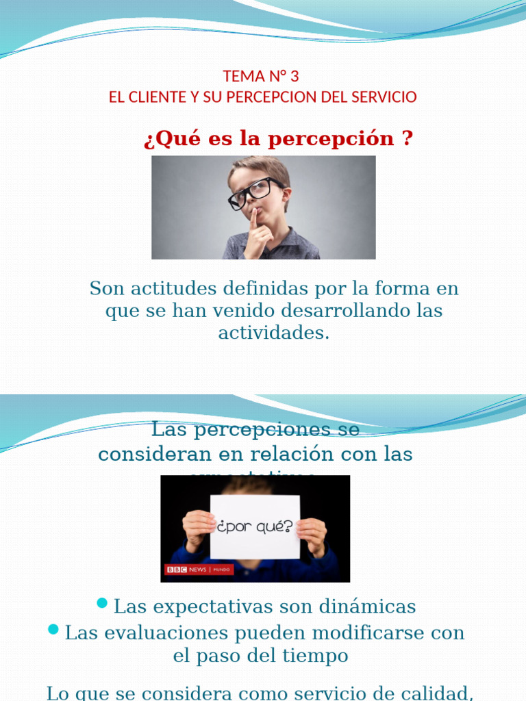 3° Tema El Cliente y Su Percepcion Del Servicio | PDF