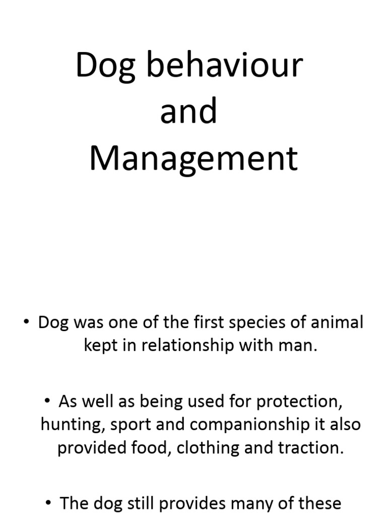 Lec 4 - Dog Behavior & Management ? | PDF | Dogs | Vagina