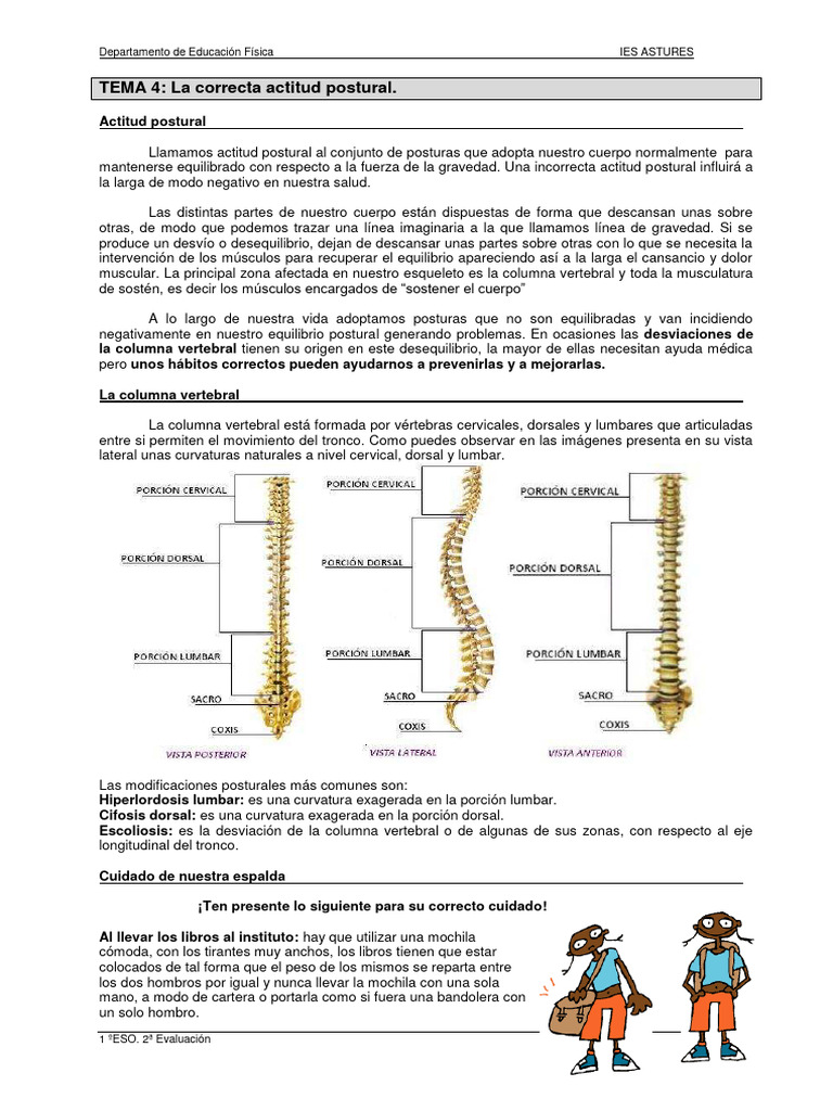 TEMA_4_La_correcta_actitud_postural | PDF | La columna vertebral | Sistema musculoesquelético