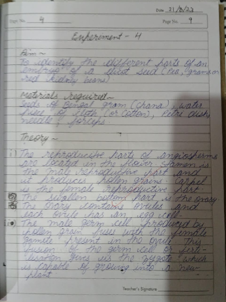 EXPERIMENT V (TO IDENTIFY DIFFERENT PARTS OF AN EMBRYO OF A DICOT SEED ...