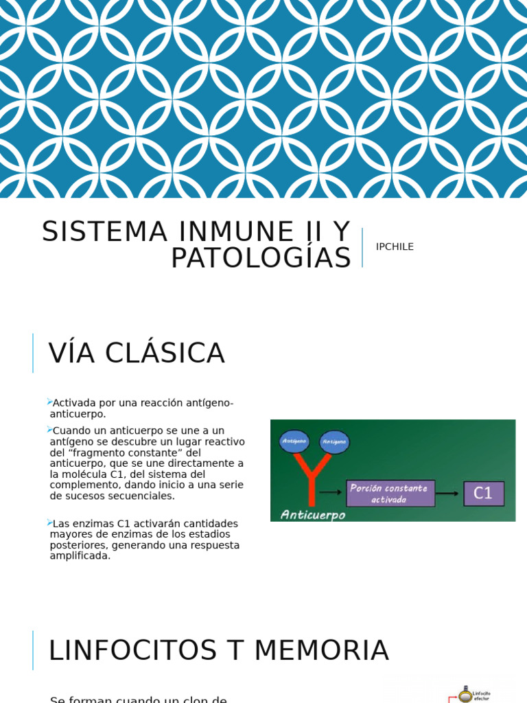 Sistema Inmune 2 y Patologias | PDF | VIH | Sistema inmune