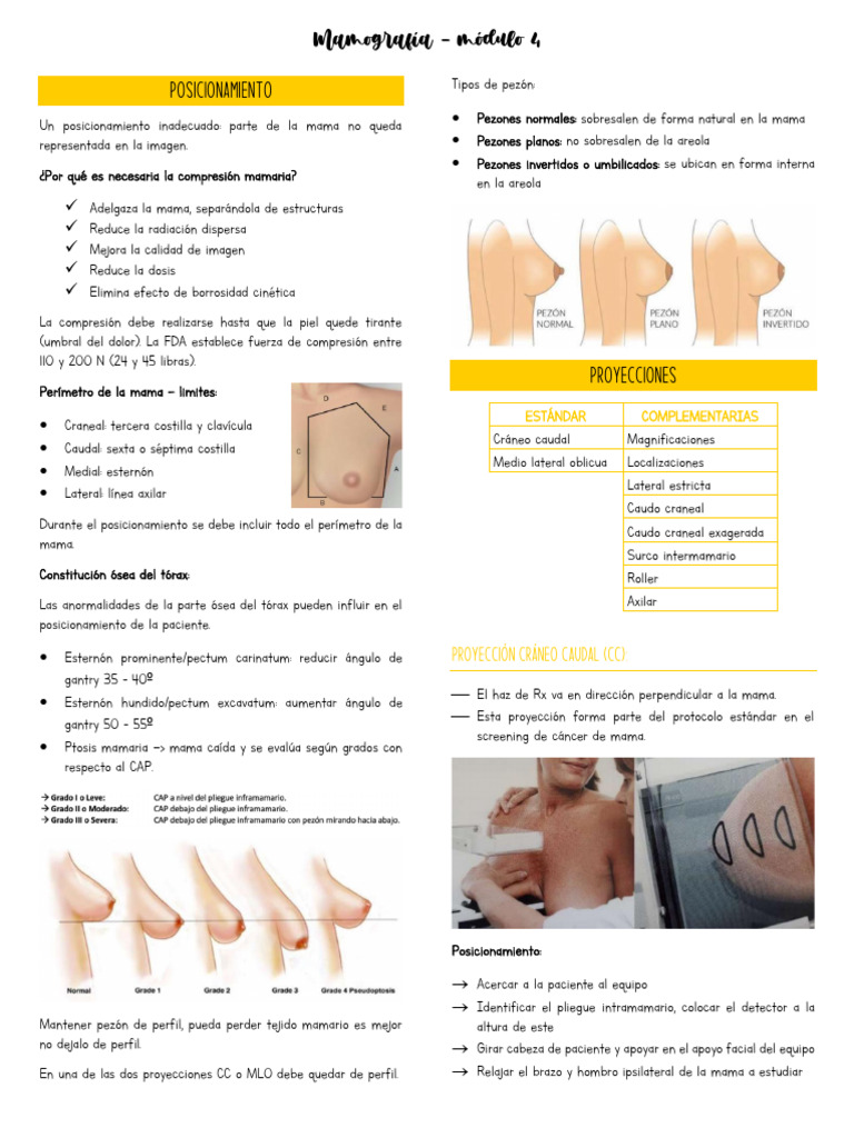 Mamo Mod. 4 | PDF | Mamografía | Pecho